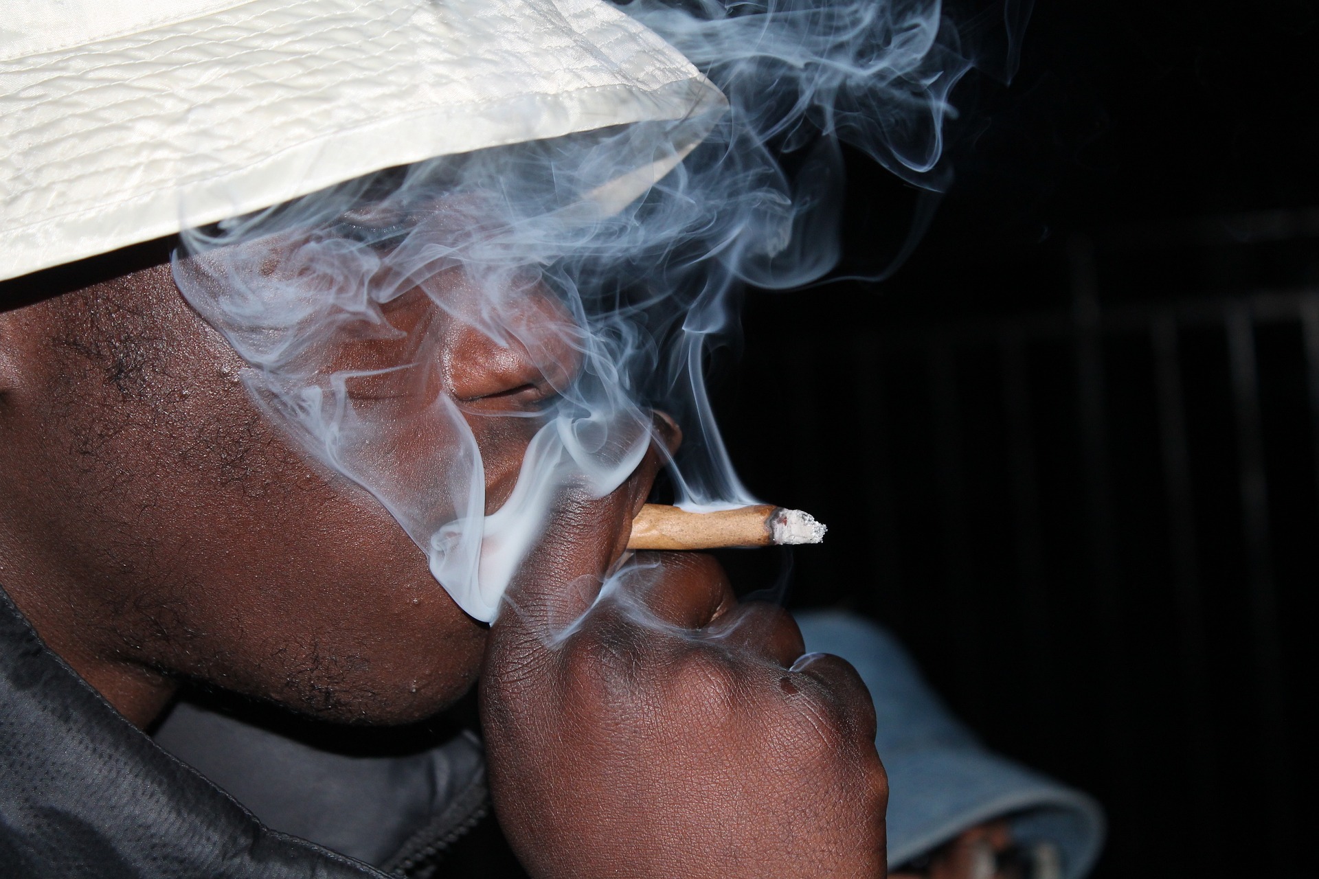Cannabis : l’industrie évaluée à 1,56 milliards de dollars en Afrique ...